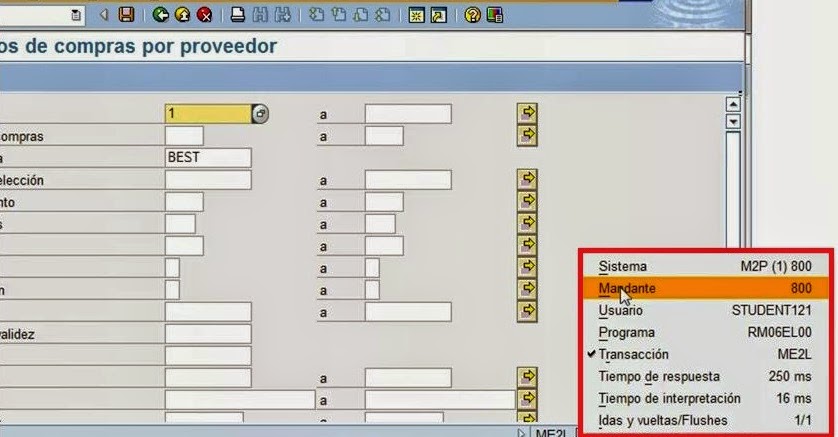 Informática fácil: SAP