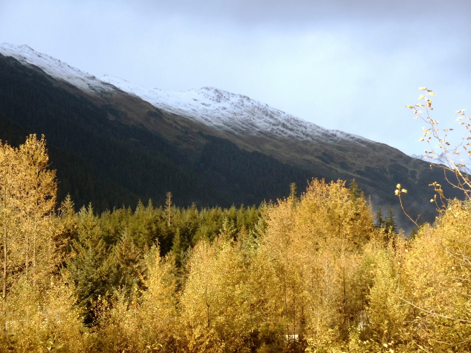Sandra's Alaska Photography: October 1, 2011: FALL HAS ARRIVED IN ...