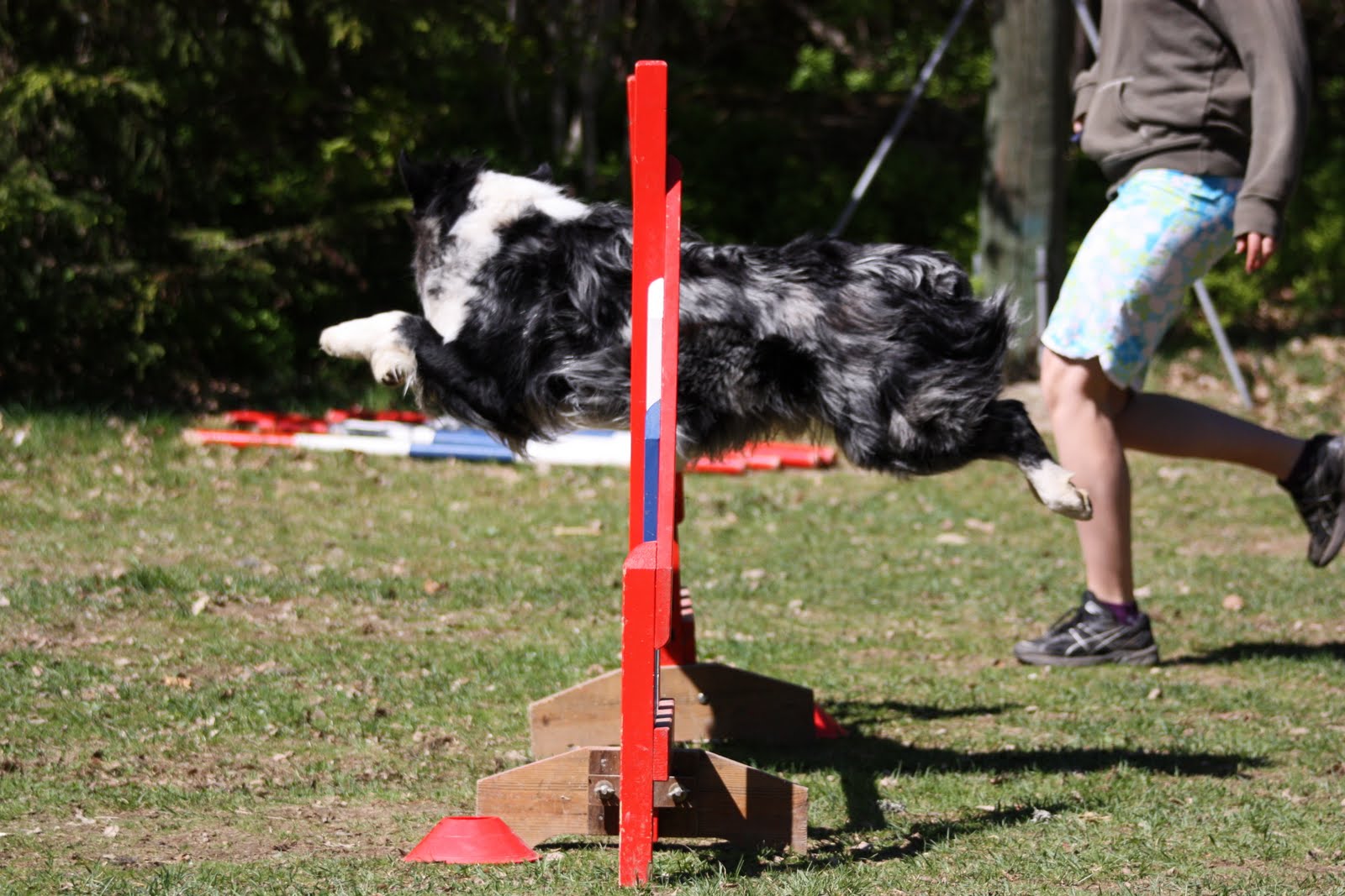 Bägbys Caprinus og Canidae`s Lucky Number One