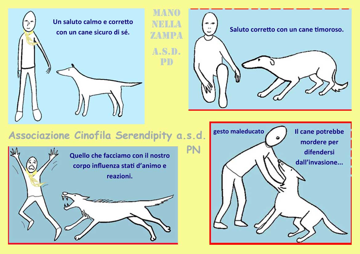 Serendipity asd Educazione Cinofila: settembre 2012