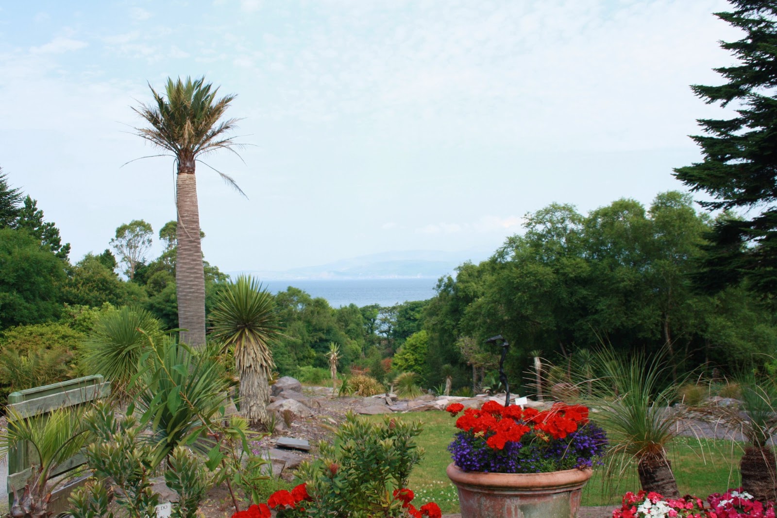 Experience Ireland: Kell's Bay Gardens in County Kerry