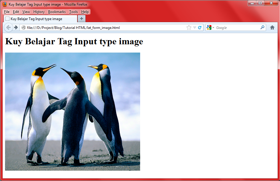 Fungsi Input Type Image Beserta Cara Penggunaannya