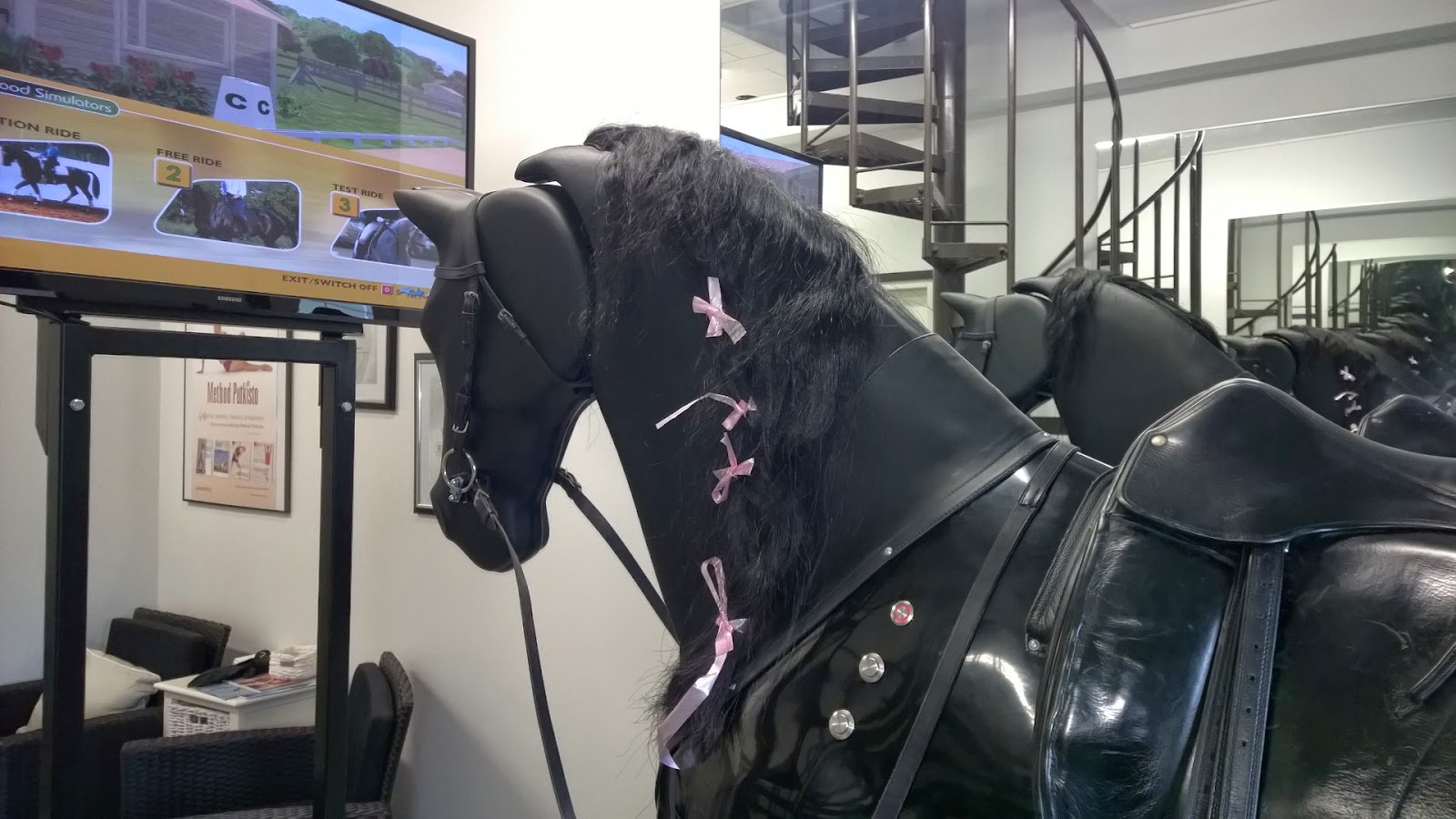 Roosa's Horsey Life: Mechanical horse lesson