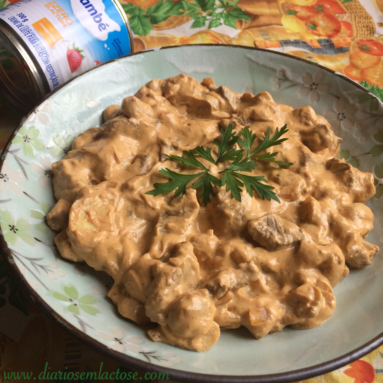 RECEITAS DA RENATTA: Estrogonofe sem lactose