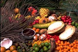 Top Atual : Povos Indígenas Brasileiros: Alimentação