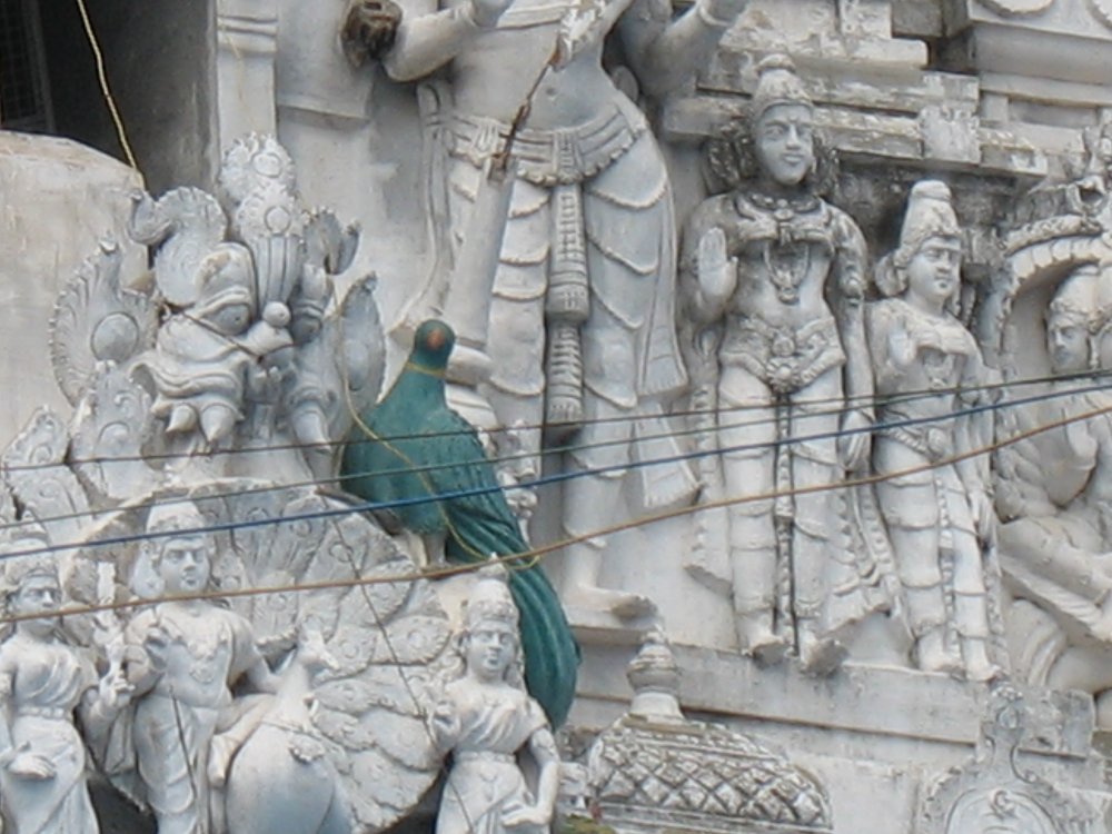 Tamilnadu Tourism: Annamalaiyar Temple – Third Prakaram – Kili Gopuram ...