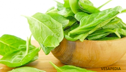 Daftar Nama Nama Sayur A Sampai Z - vesapedia farmers