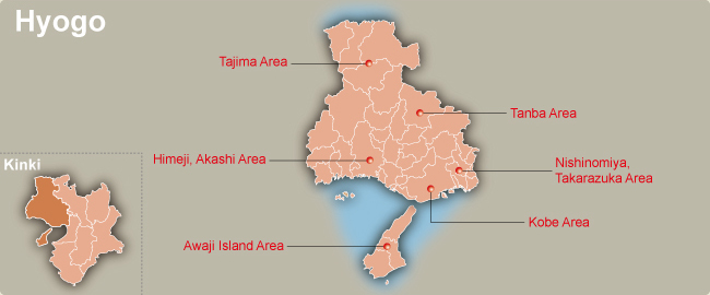 Hyogo Map Regional City | Regional City Maps of Japan