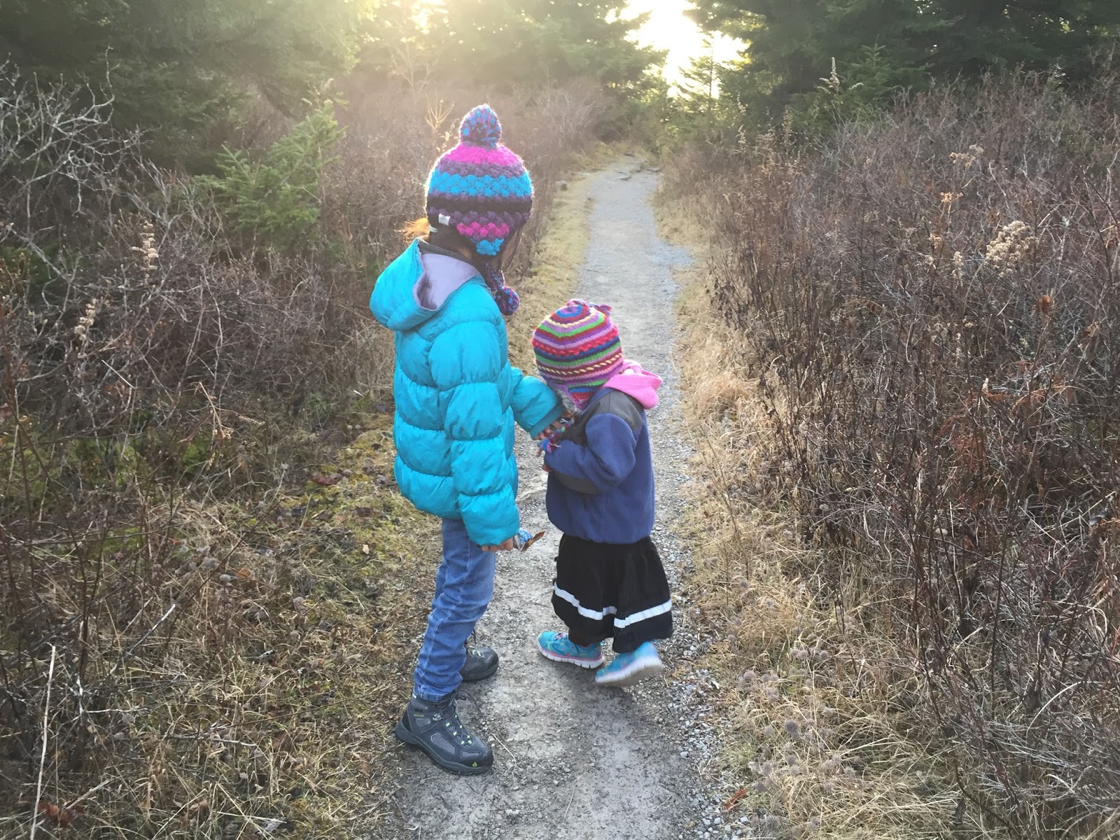 Two Mountain Babes: Mountain Babes on WV High Point: Spruce Knob