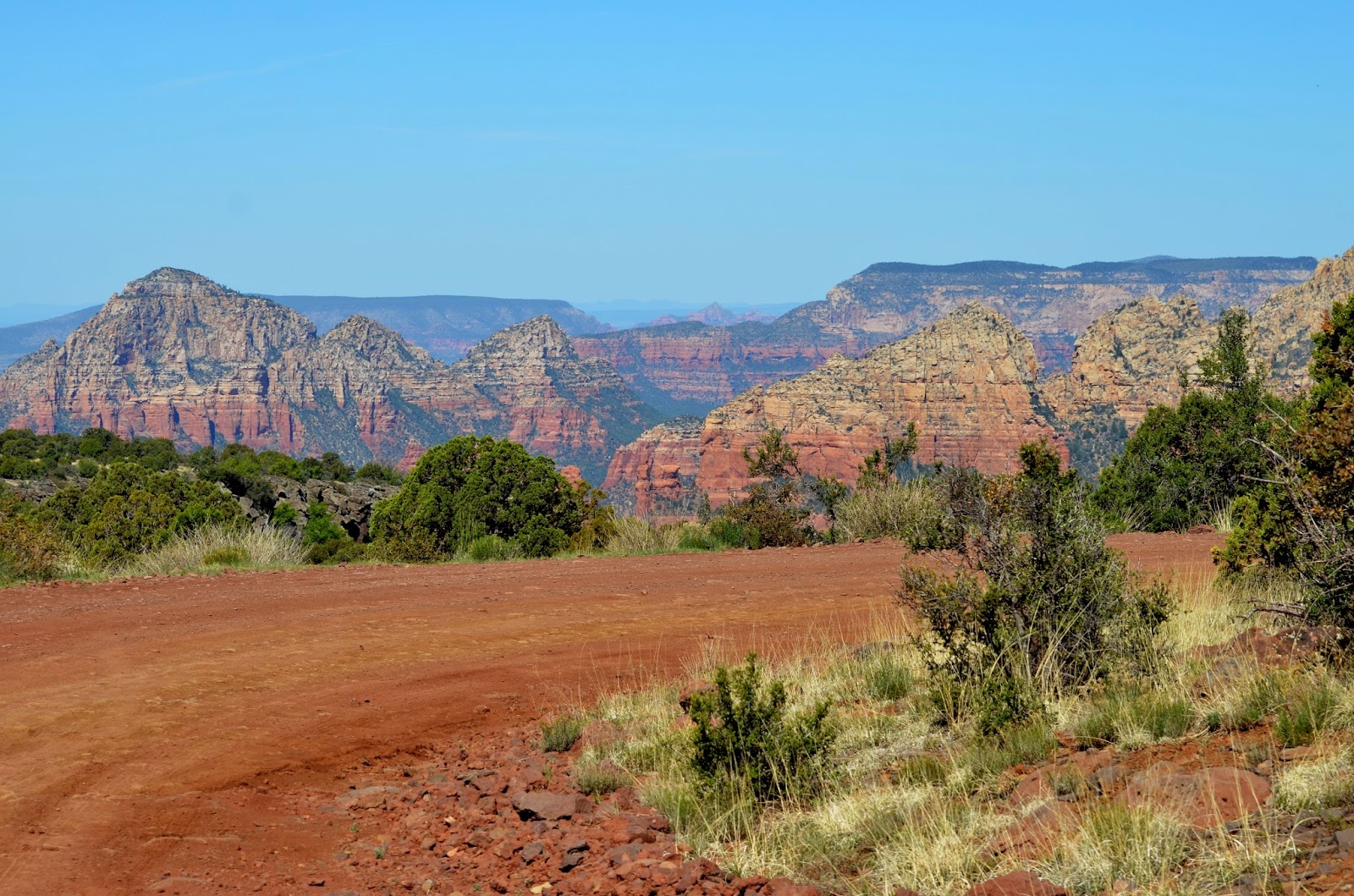 good-times-rollin: Who is Schnebly?