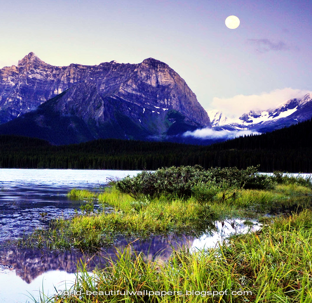 world beautiful wallpaper | Zone Wallpaper Backgrounds