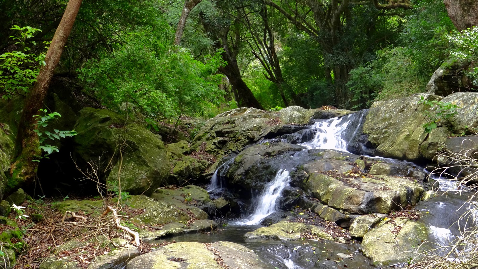 Sathyamangalam Tiger Reserve and Germalam Trek
