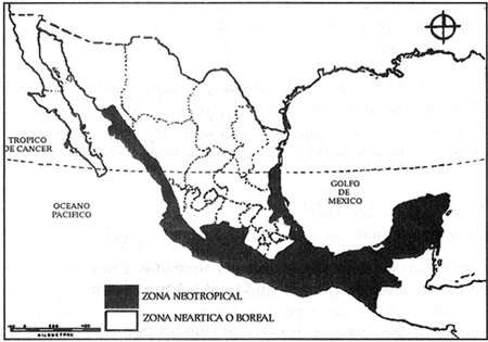 Factores Geográficos, Geológicos y Biogeográficos que afectan la ...