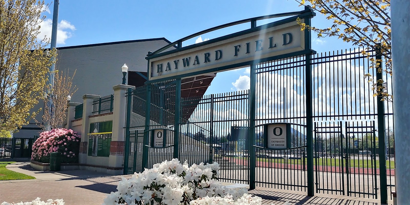 SW Oregon Architect: The New Hayward Field