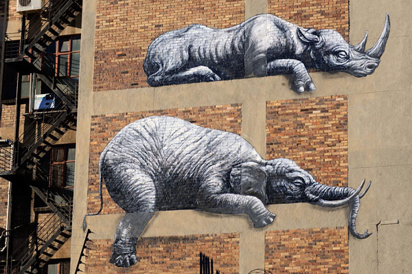 Animal street art in Johannesburg, South Africa
