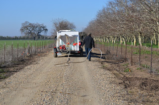Mendocino Chronicles: Burrow Blocker at Work