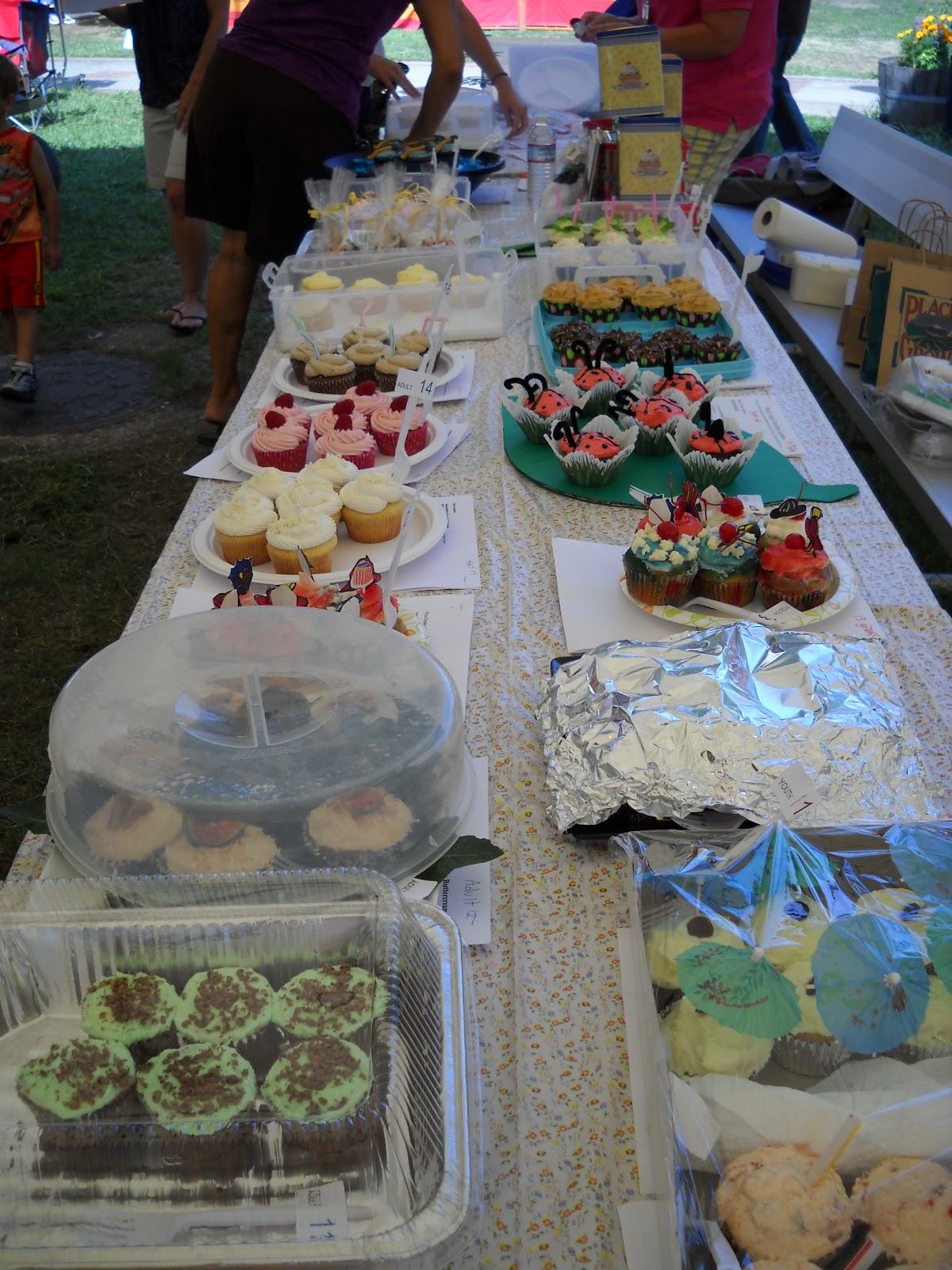 Bake It With Booze!: Gold Country Fair Crazy for Cupcakes Competition