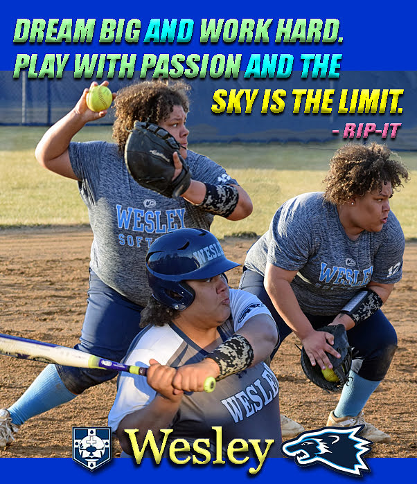 Wesley Wolverines Fastpitch Softball: SKY IS LIMIT