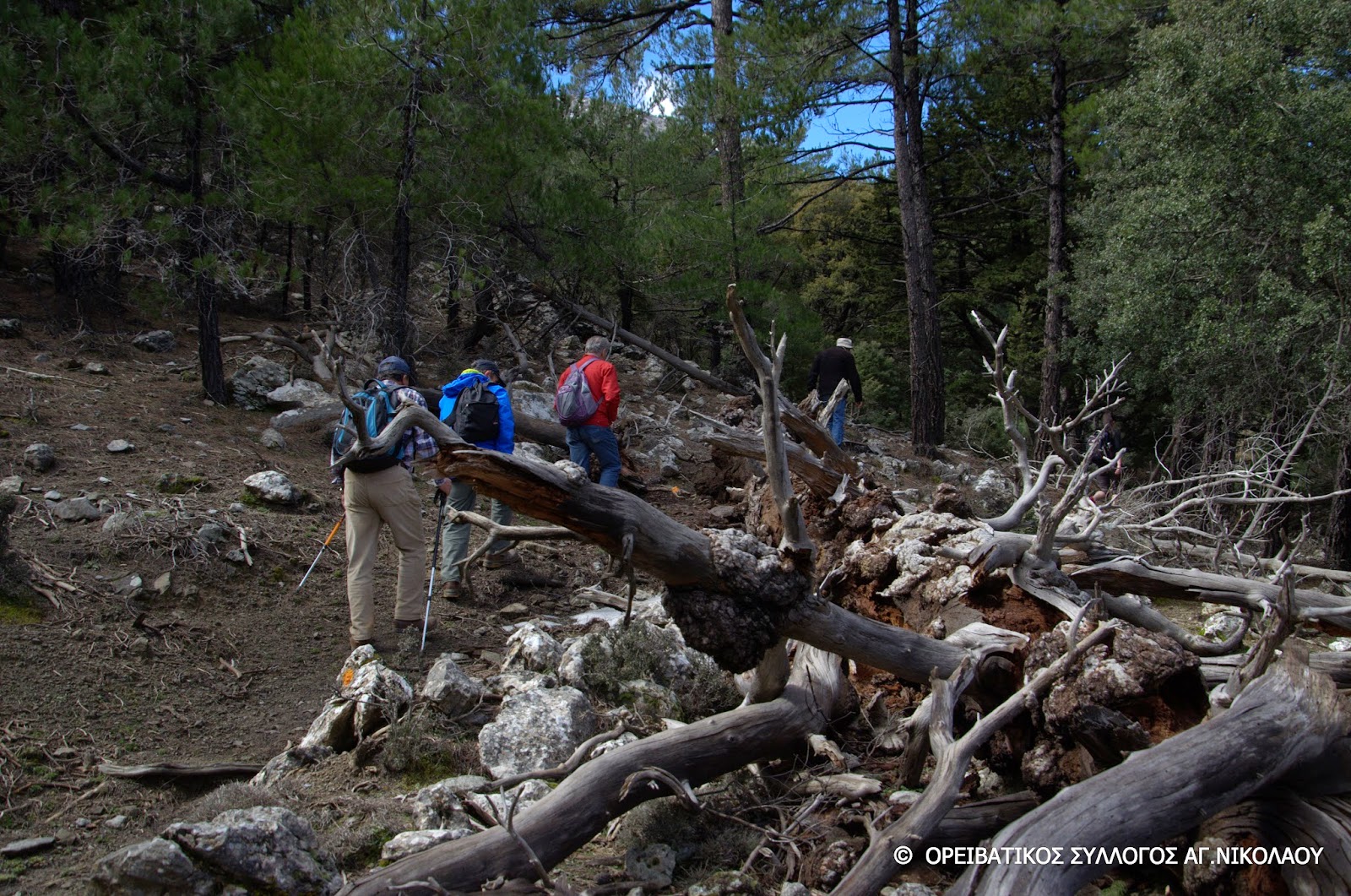 EXPLORE MOUNTAINS: ΠΕΖΟΠΟΡΙΑ :ΜΕΤΑΞΟΧΩΡΙ-ΠΗΓΗ ΣΚΑΦΙΔΙΑ-ΚΑΛΥΒΕΣ-ΖΩΝΑΡΙ ...