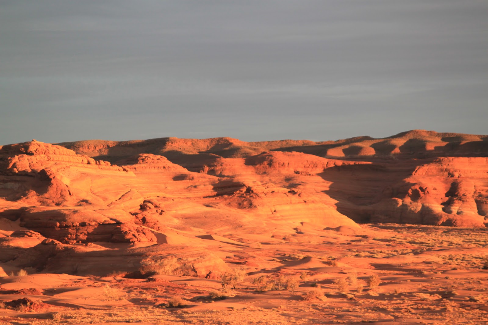 Turkey Day in the Desert | Let's Coddiwomple