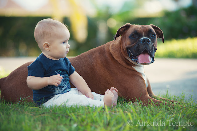 Bermuda Photographer - Amanda Temple: The Leite Family