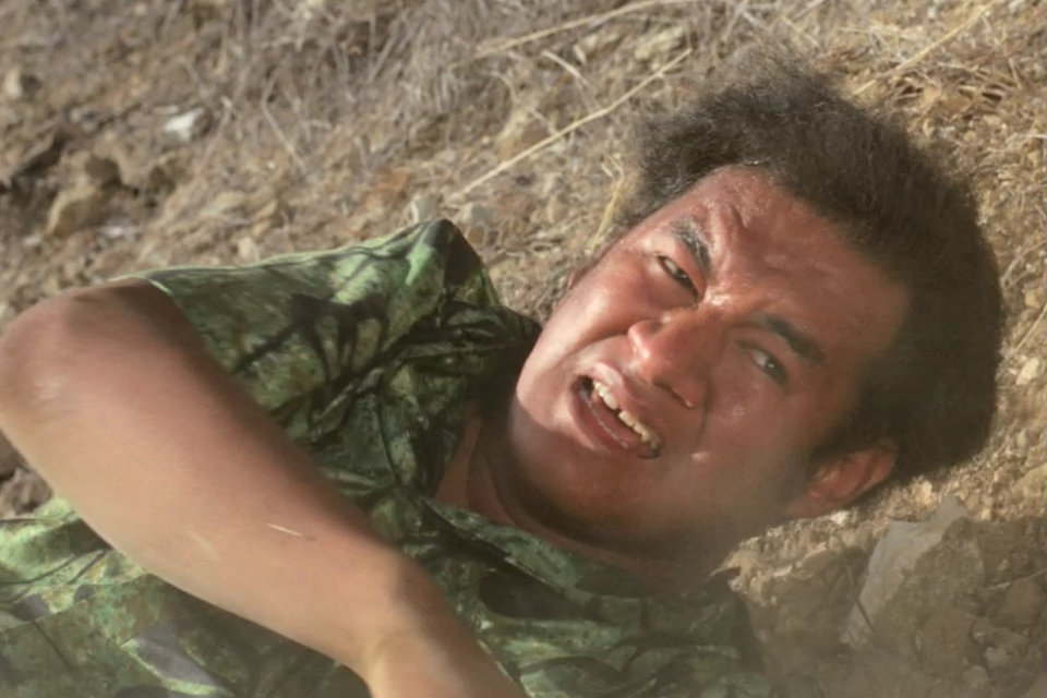 Five-O Revisited: Run, Johnny, Run