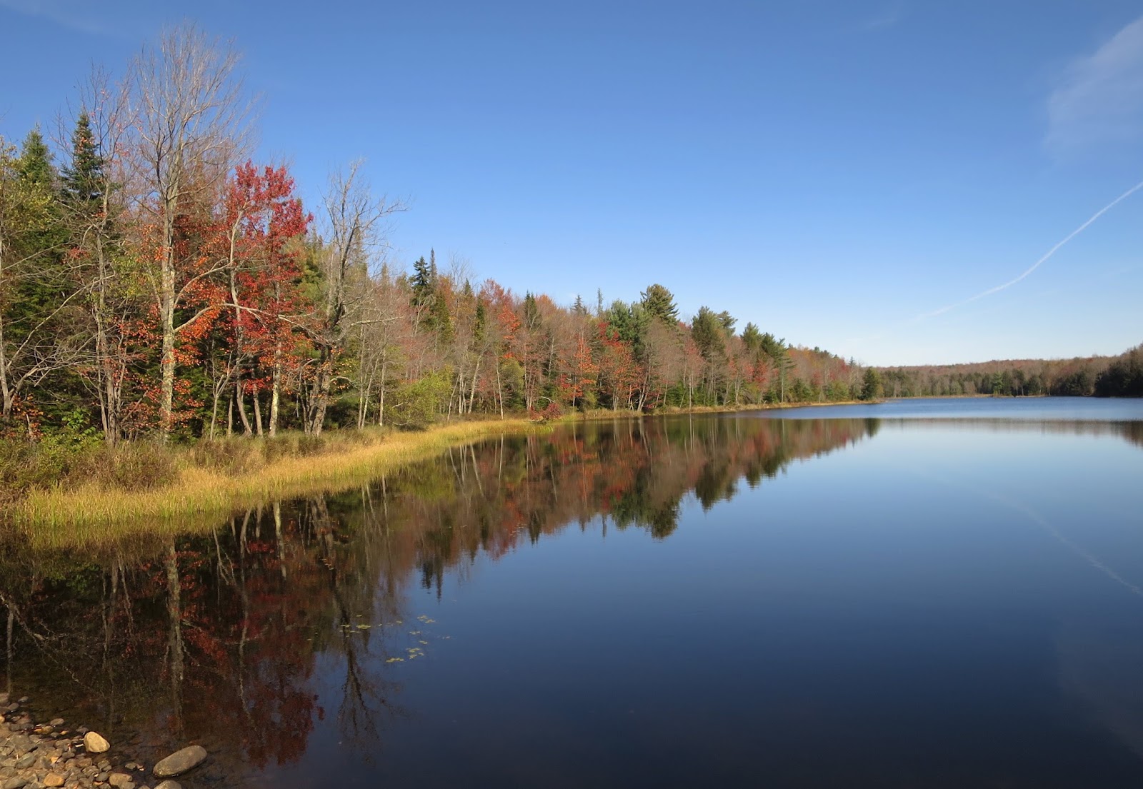 Saratoga woods and waterways: Beautiful Day, Beautiful Pond