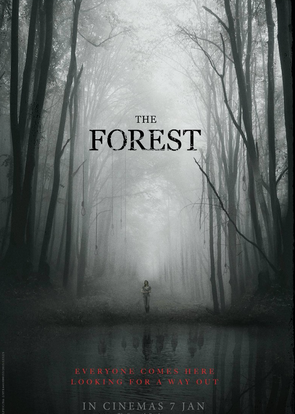 cult film freak: WEEKEND REVIEW OF THE FOREST