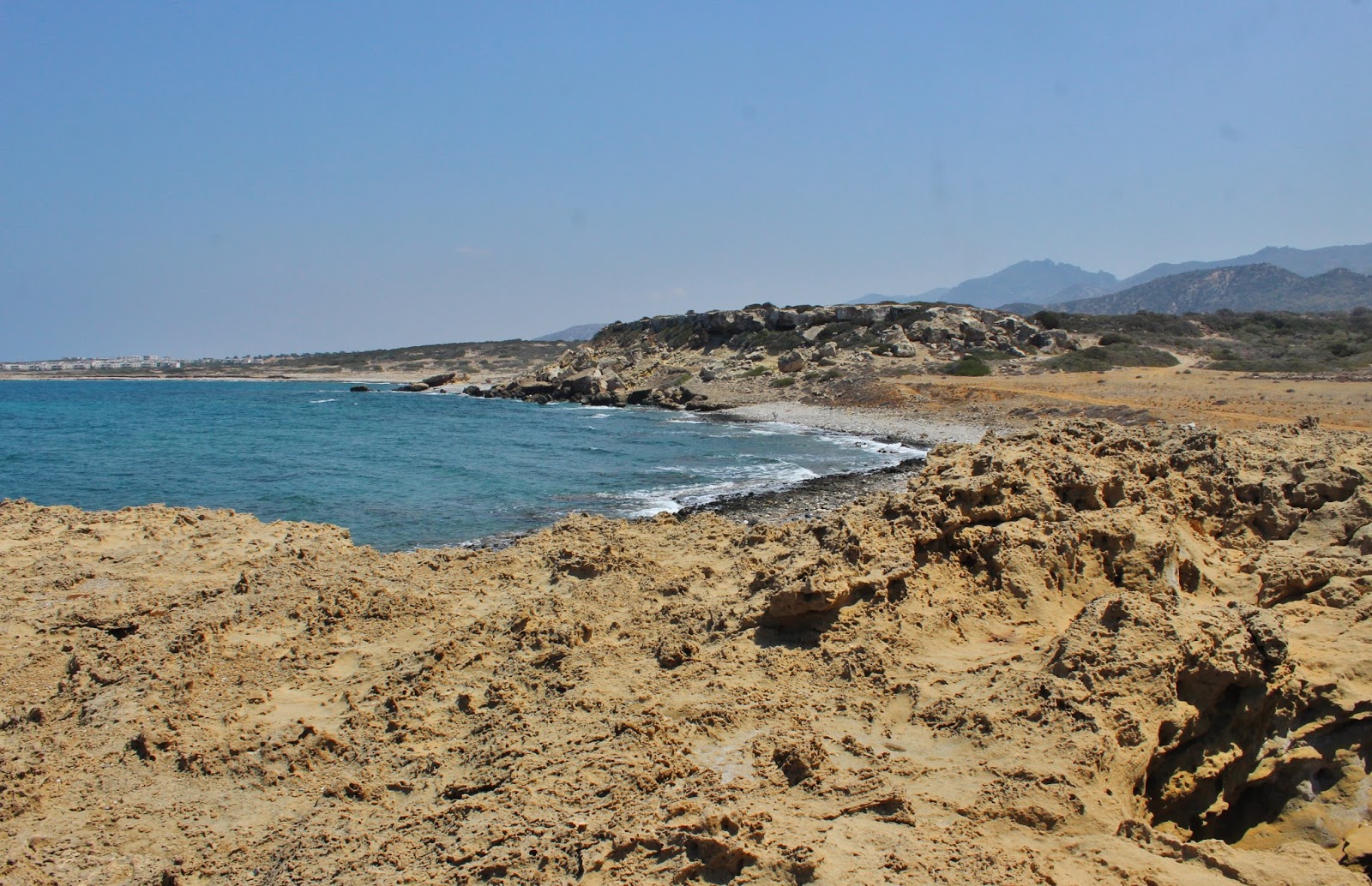 Biodiversity of Cyprus by NGO Protection of the Natural Heritage and ...