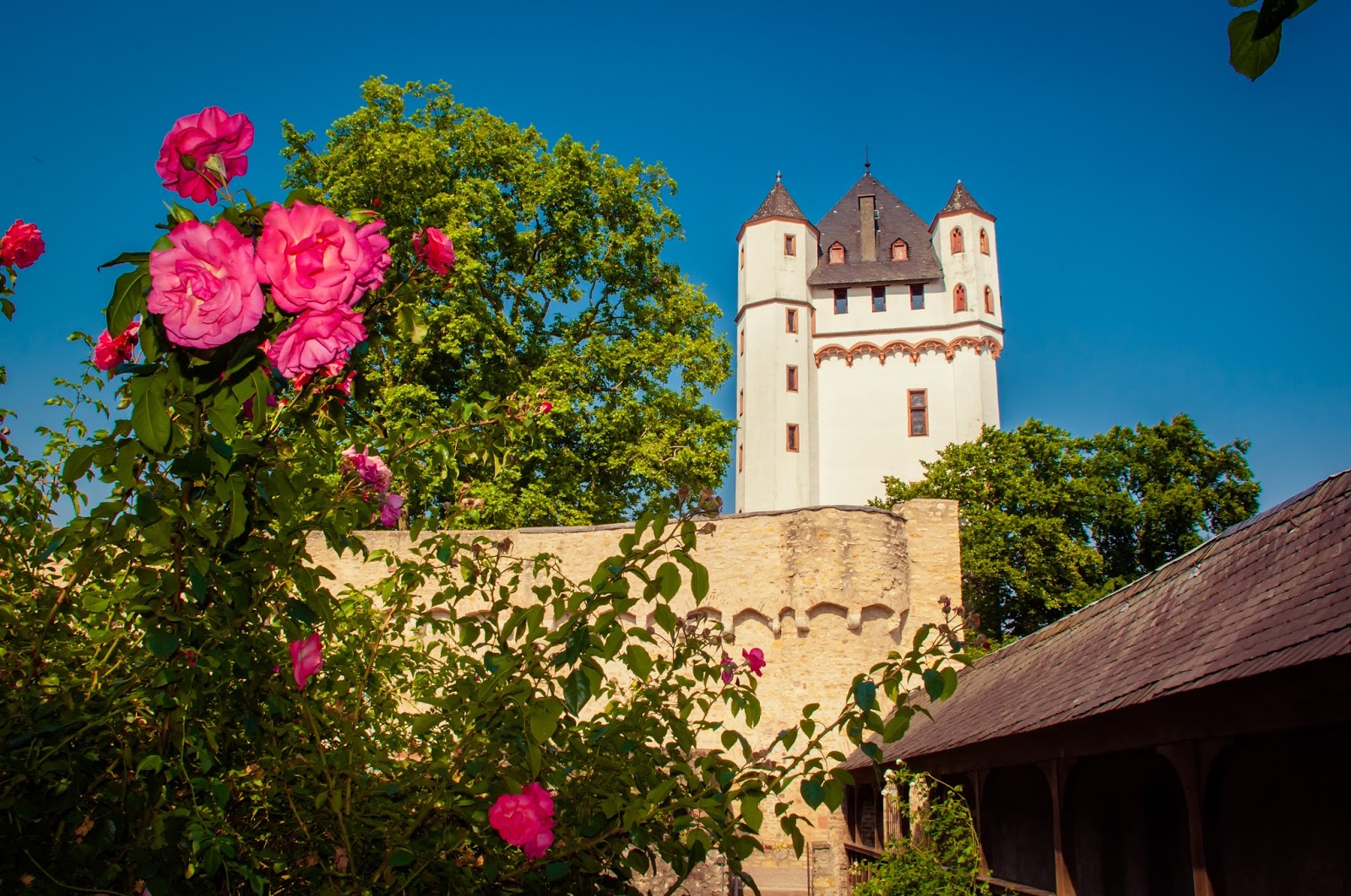 A Jersey Broad Abroad: Electoral Castle in Eltville: Kurfürstliche Burg