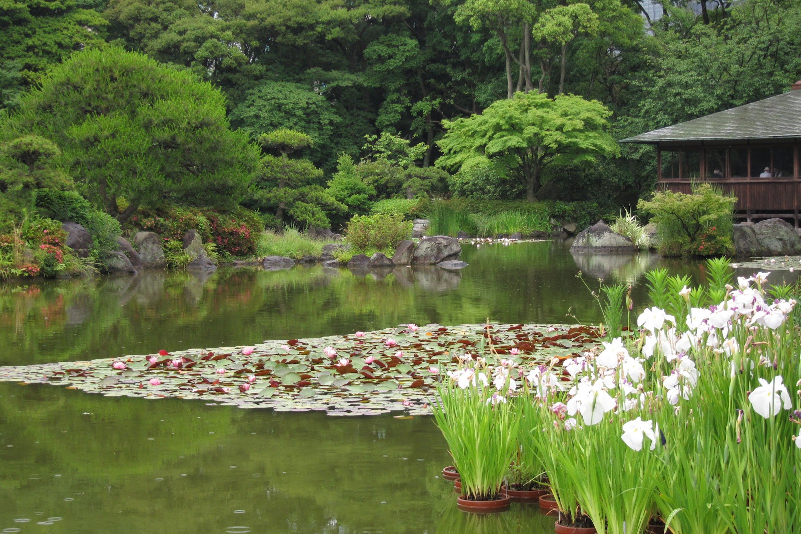 Round of the Seasons in Japan: Keitakuen Garden