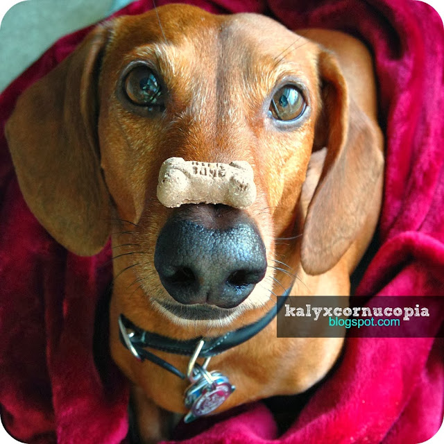 Kalyxcornucopia: me likey dat