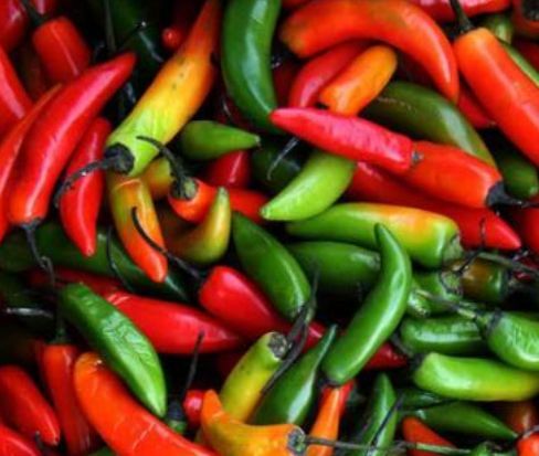 Manfaat Cabe serta Bahayanya bagi Kesehatan - MITRA KESMAS