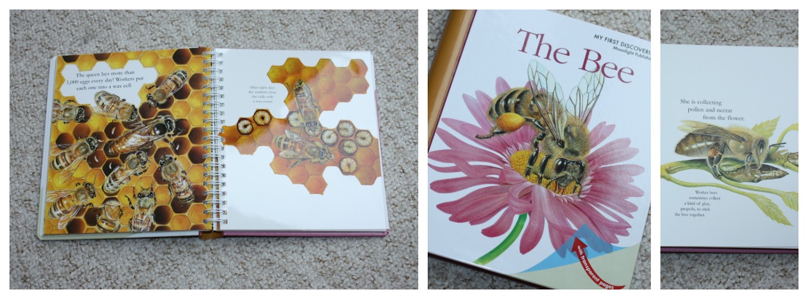 Mellow Mummy: Children's Book Review :: The Bee : Taking life as it ...