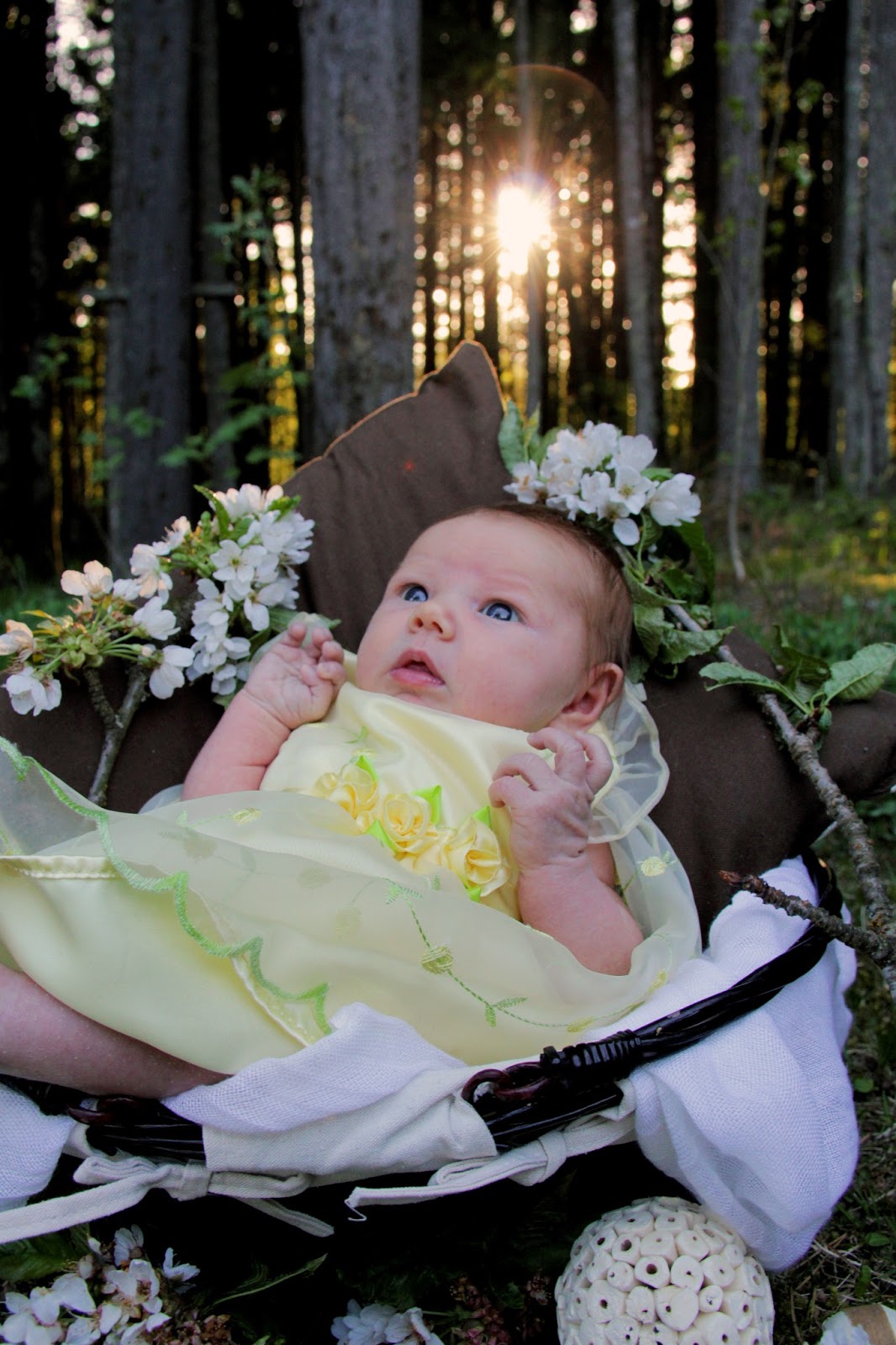 -: Sarah, Craig and Baby Bently