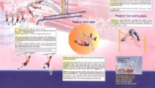 Pole Vault Illustrated: Phases of the Dynamic Pole Vault, Large Color ...
