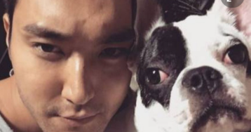 [Pann] Choi Siwon's dog sent to live in the countryside?
