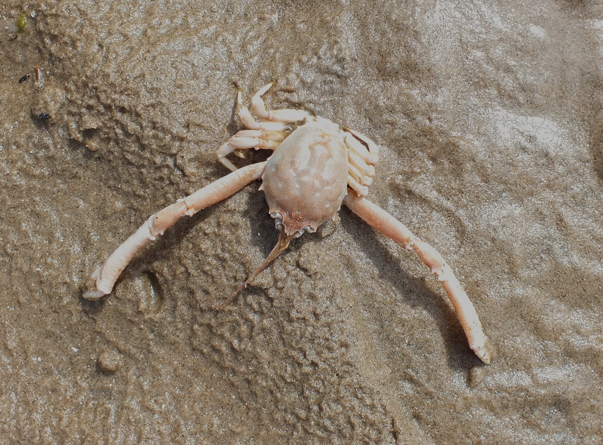 Lancashire and Lakeland Outback Adventure Wildlife Safaris: Gratuitous ...