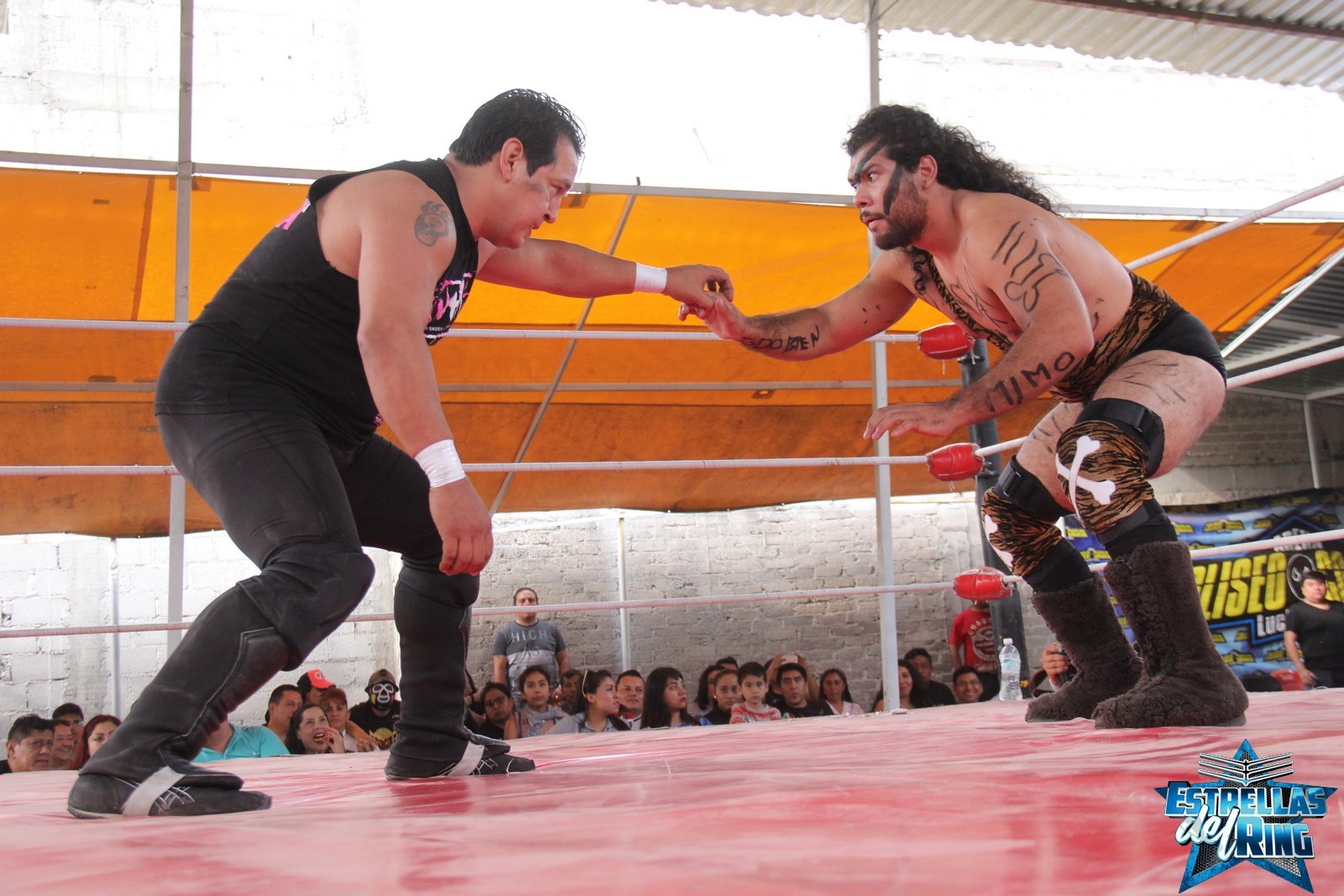 ESTRELLAS DEL RING.: Cara Lucha venció a Lucha Memes en el primer ...