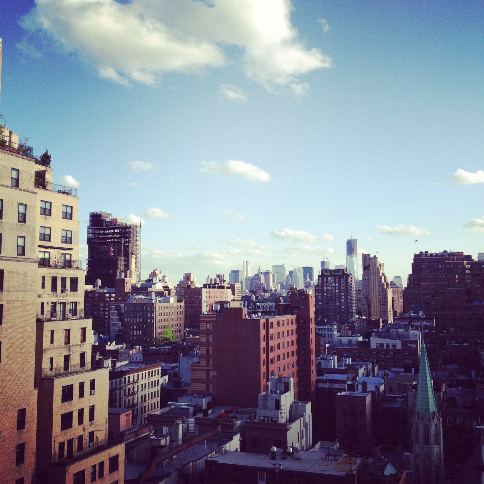 About New York: Country in the City