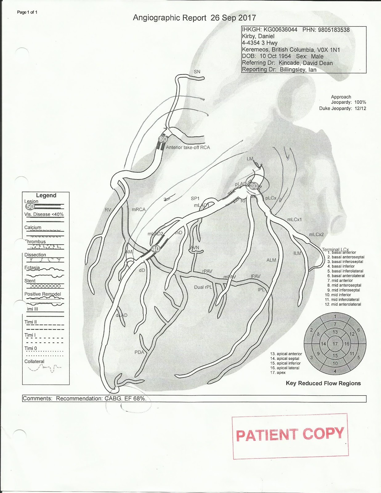 Kirby's Travels: Angiogram diagram report