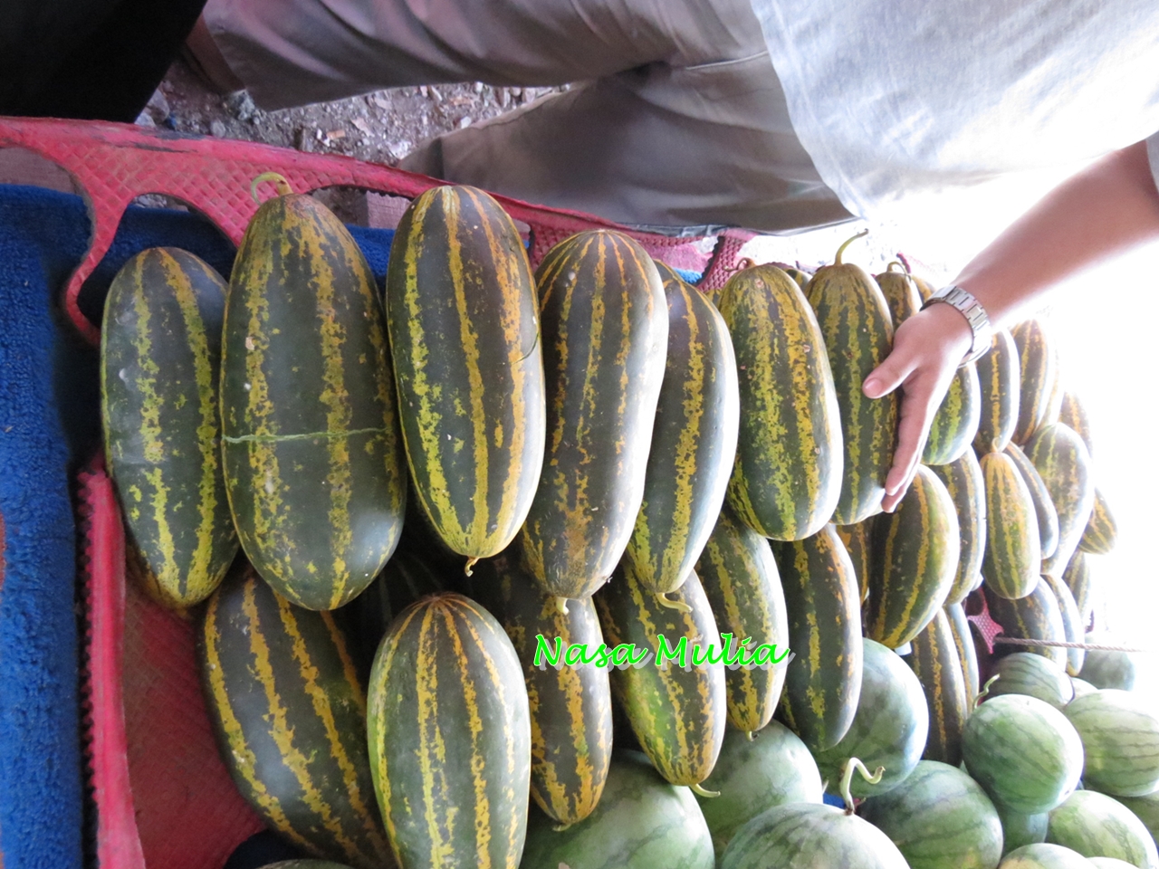 warna warni hidupku..............: Timun Betik aka Rabbise'