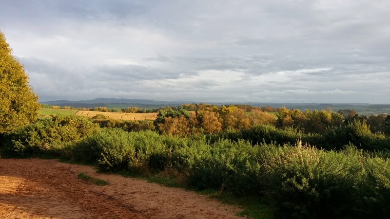 Lucy's Wednesday walks: Kinver Edge