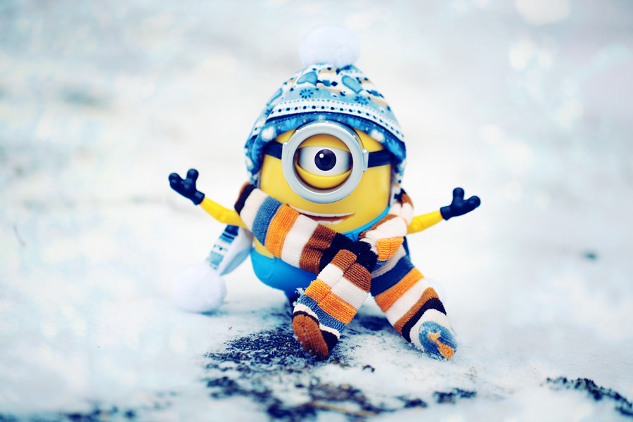 Welcome to Room 20's Blog!