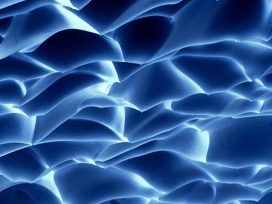 35 Breathtaking Examples of Patterns in Nature