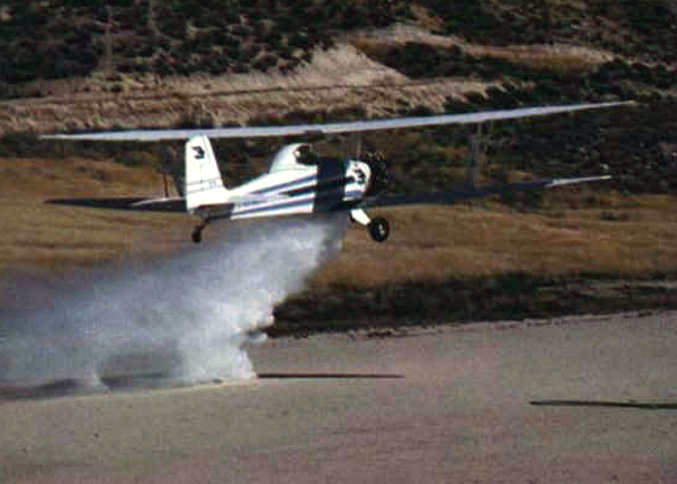 nhungdoicanh: Eagle DW-1