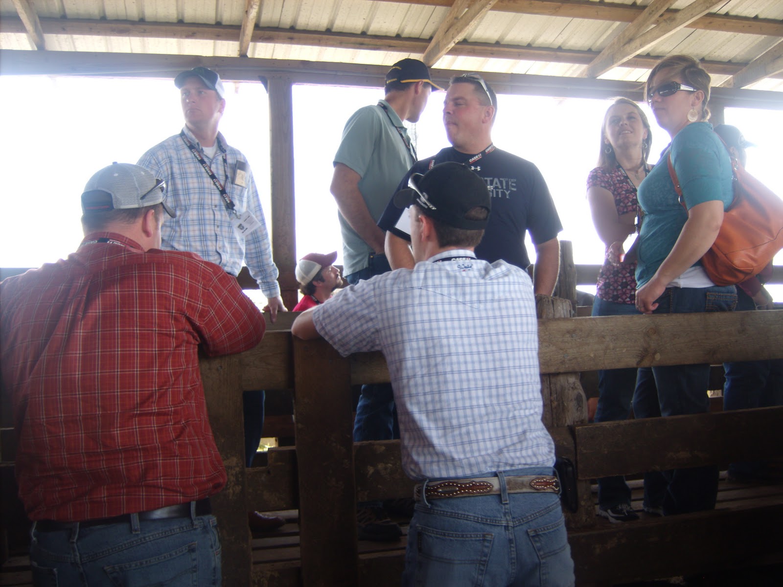 Our life in Ag: Young Farmers and Ranchers