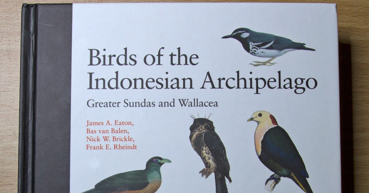 Worth Two in the Bush: Book Review - 'Birds of the Indonesian ...