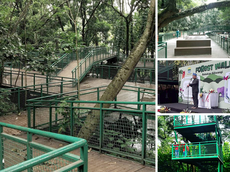 Forest Walk Babakan Siliwangi, Destinasi Wisata Kesejukan Hutan Kota