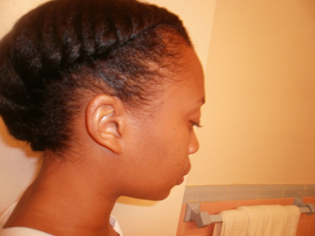 Life of a Naturalista: Hair Essentials - Two strand braids
